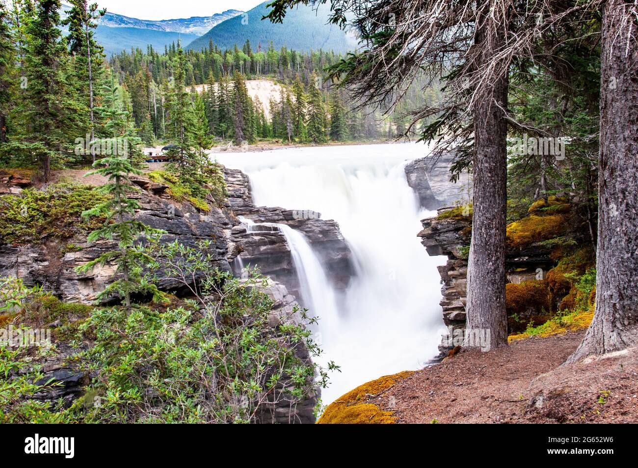 Waterfall in Banff National Park, Alberta, Canada Stock Photo - Alamy