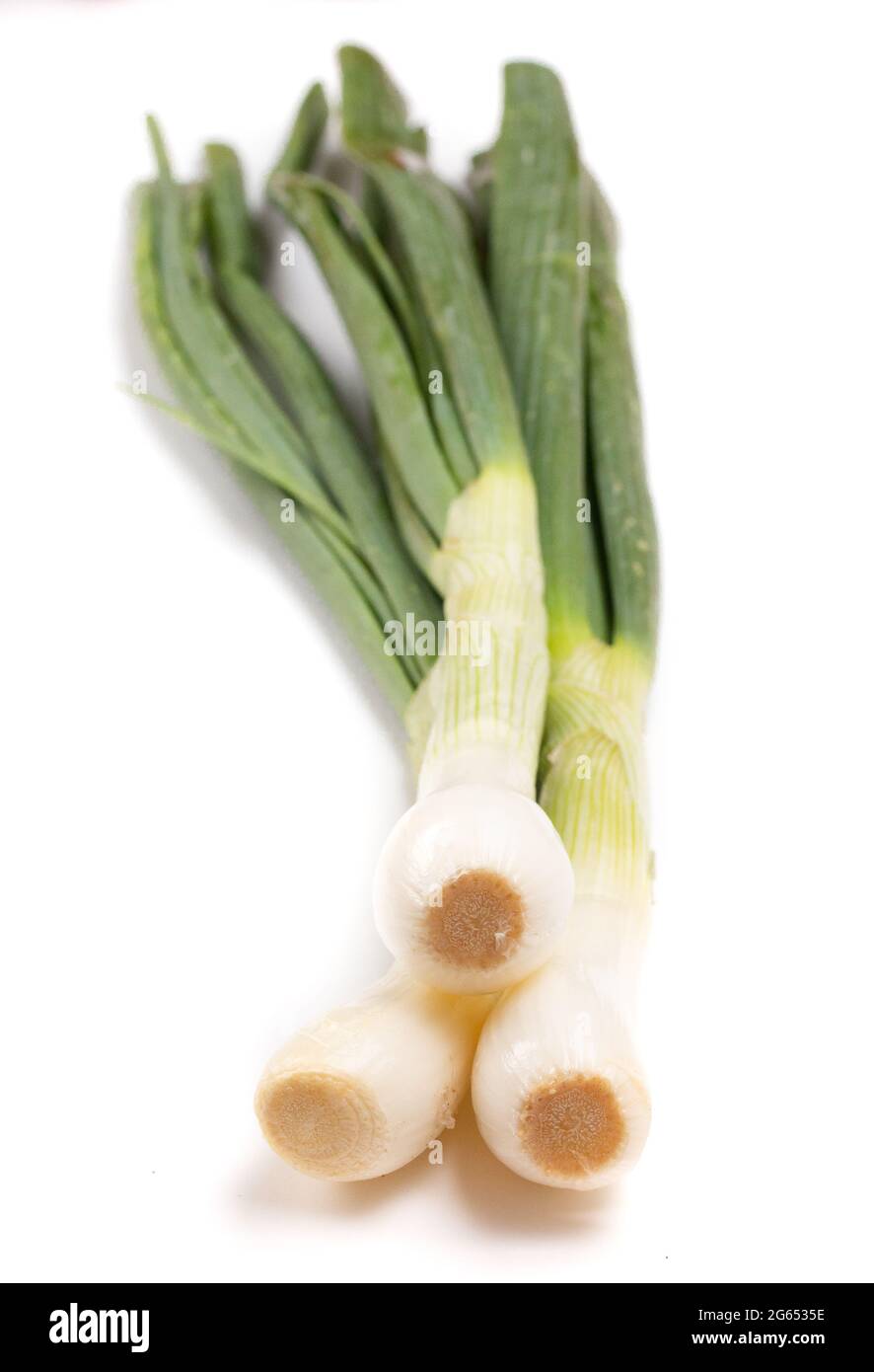 Three Spring Onions on a White Background Stock Photo - Alamy