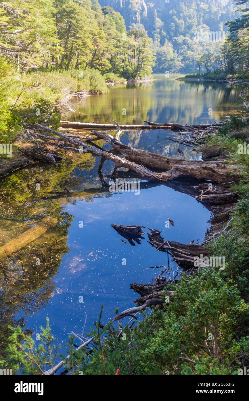 Lago Chico lake in National Park Huerquehue, Chile Stock Photo - Alamy
