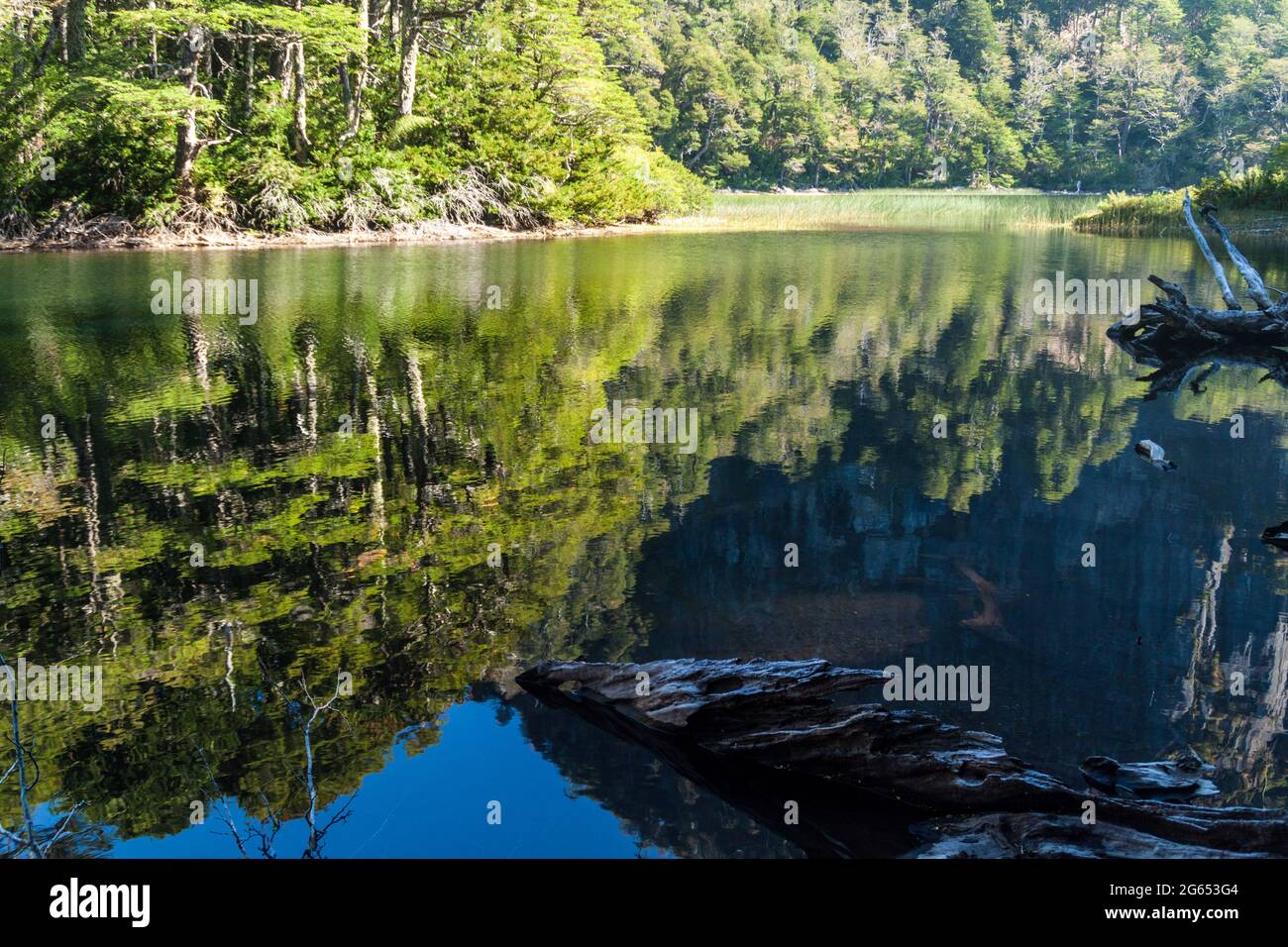Lago Chico lake in National Park Huerquehue, Chile Stock Photo - Alamy