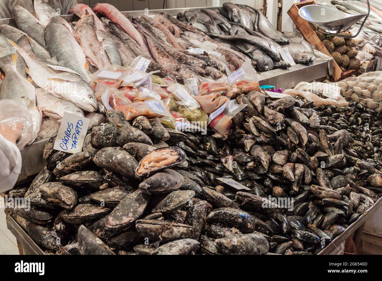 Fresh fish and seafood on Mercado Central market in the center of ...