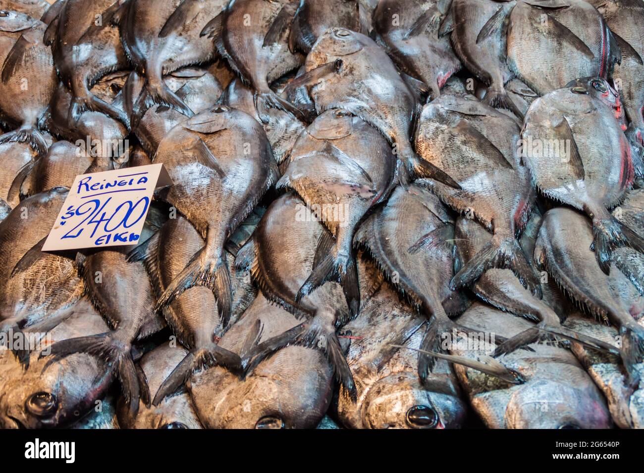 Fresh fish and seafood on Mercado Central market in the center of ...