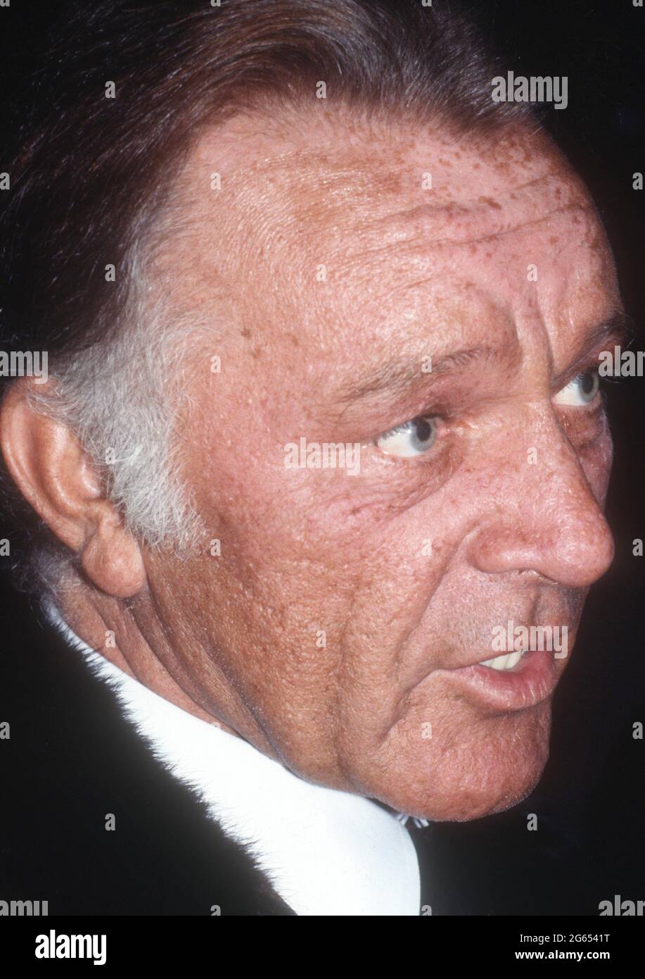 Richard Burton 1978 Photo by Adam Scull/PHOTOlink Stock Photo - Alamy