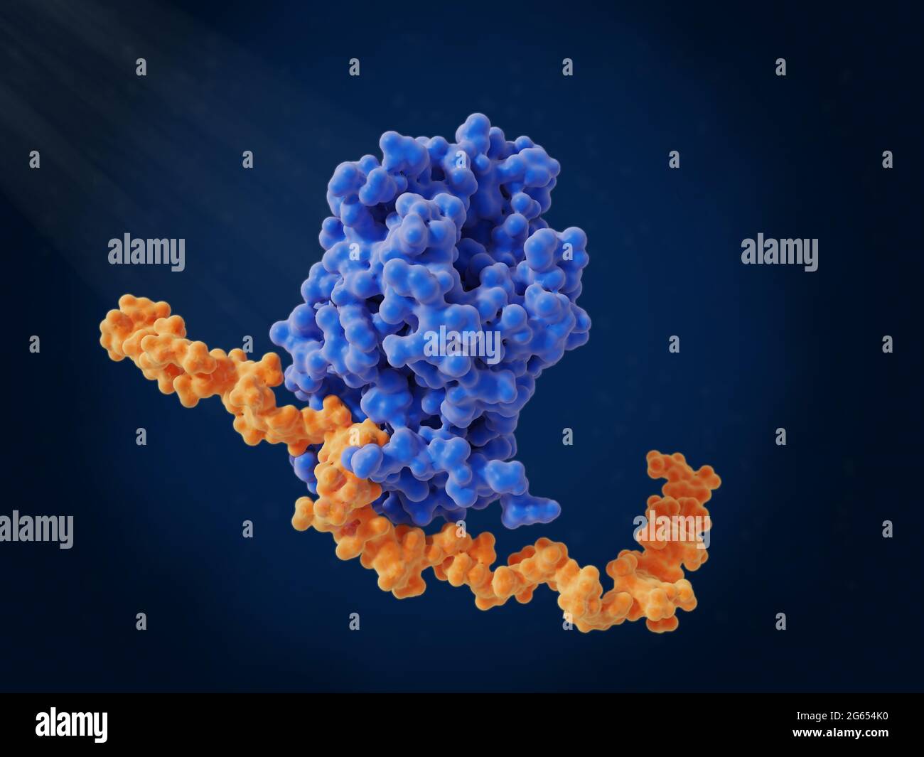 Heparin hi-res stock photography and images - Alamy