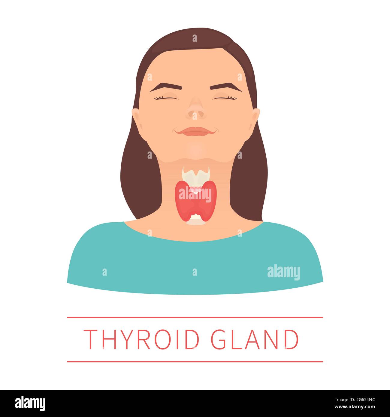 Thyroid gland, illustration Stock Photo - Alamy