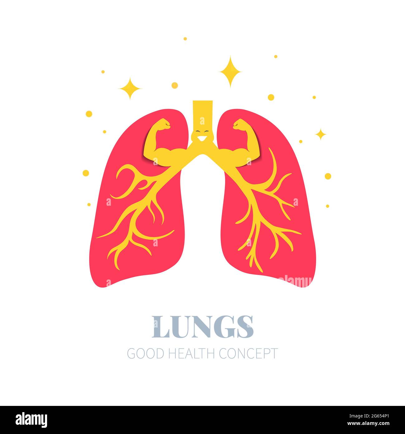 Healthy lungs, conceptual illustration Stock Photo - Alamy