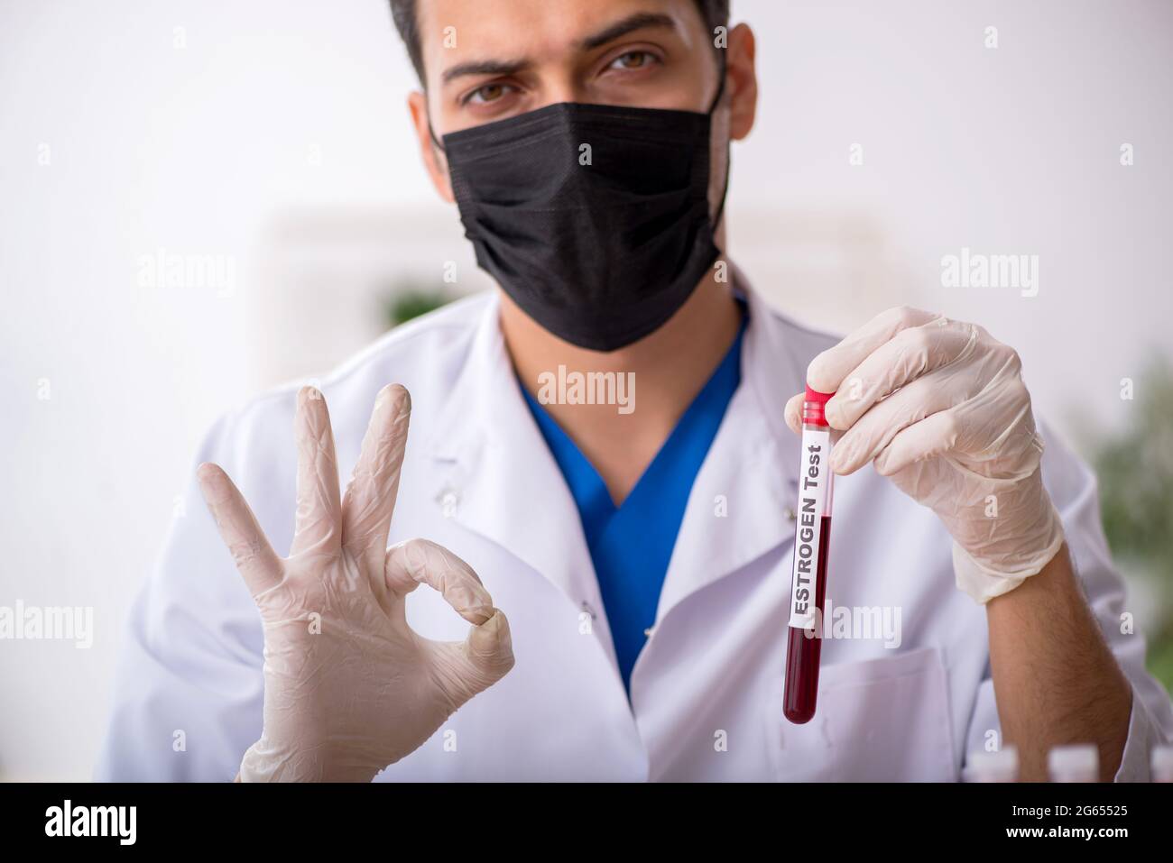 Estrogen experiment hi-res stock photography and images - Alamy
