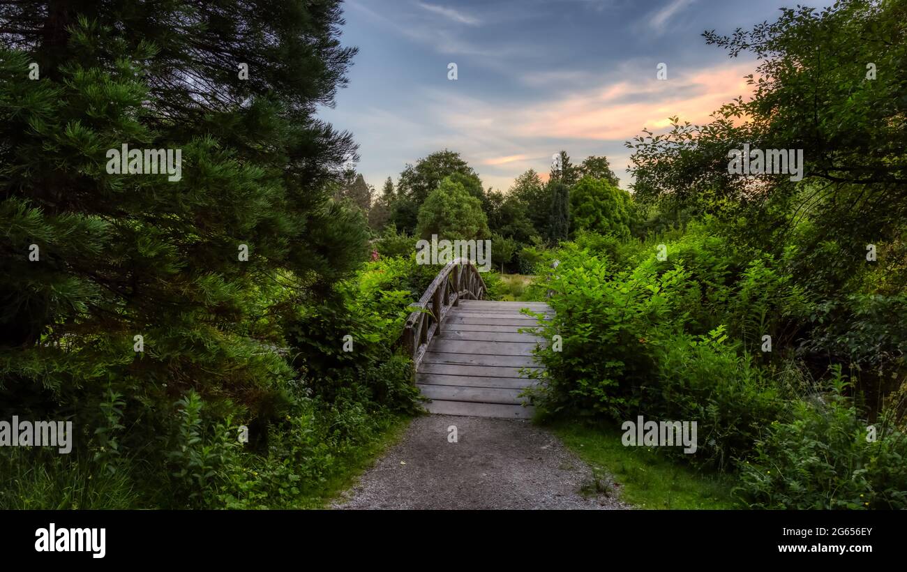Wooden Bridge over the pond on a walking path in a famous Stanley Park ...