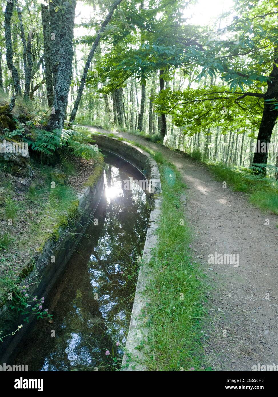 Open channel flow hi-res stock photography and images - Alamy