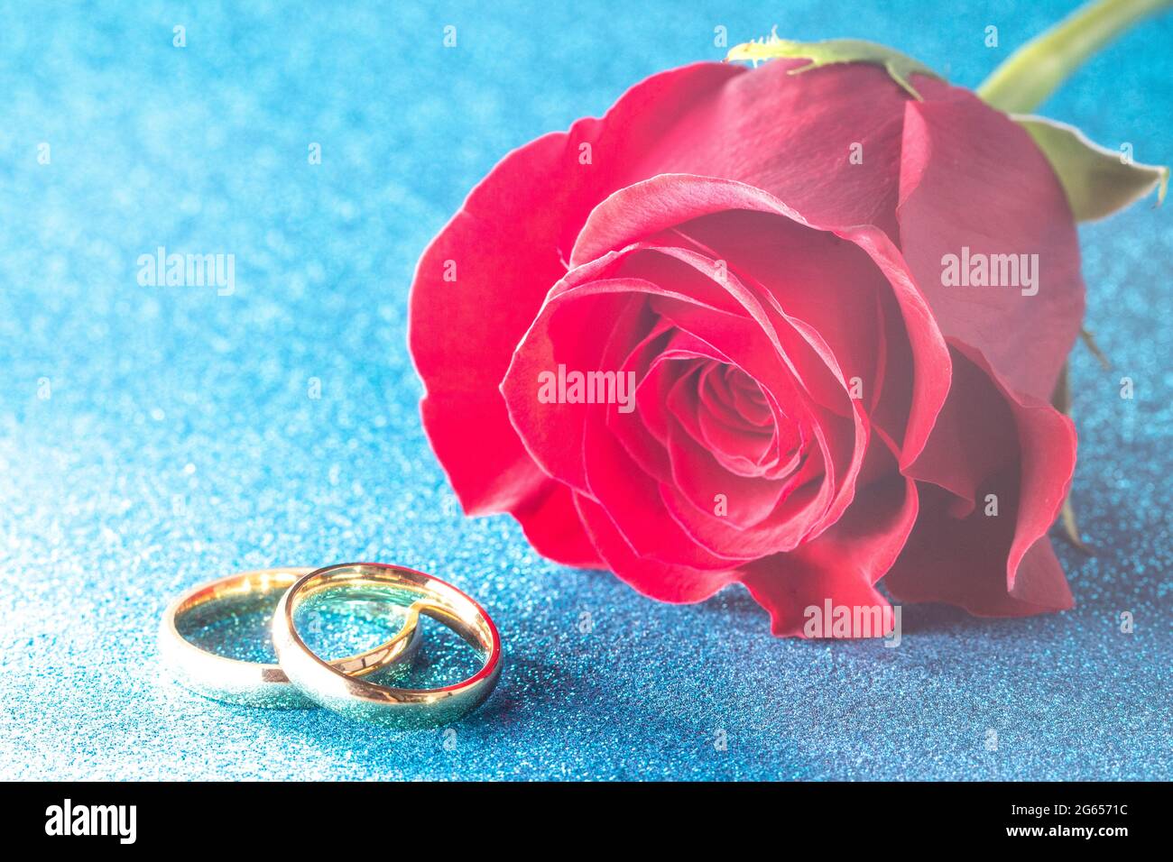 Gold Wedding Bands and a Red Rose on a Blue Background Stock Photo - Alamy
