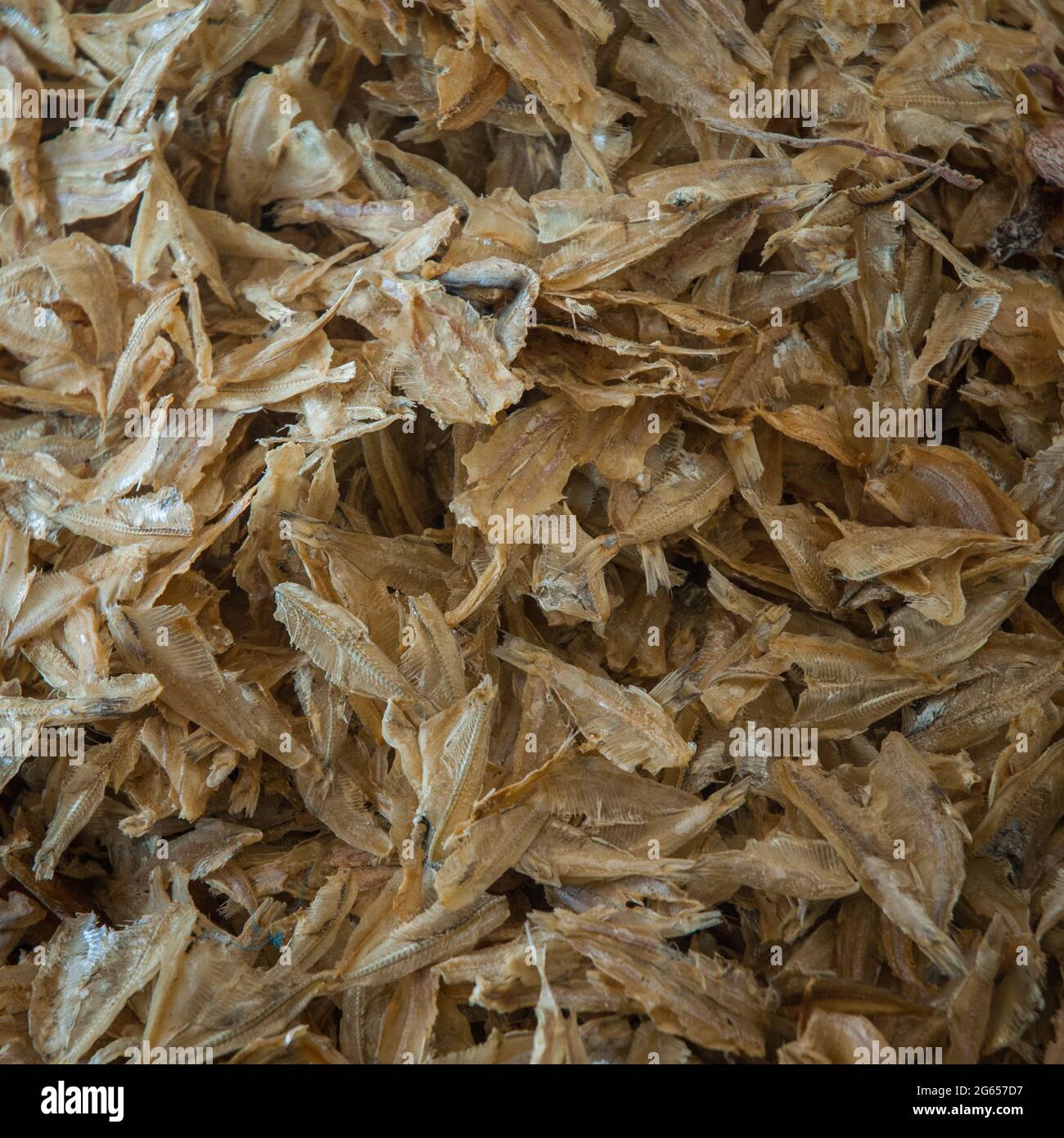 Taboan cebu hi-res stock photography and images - Alamy
