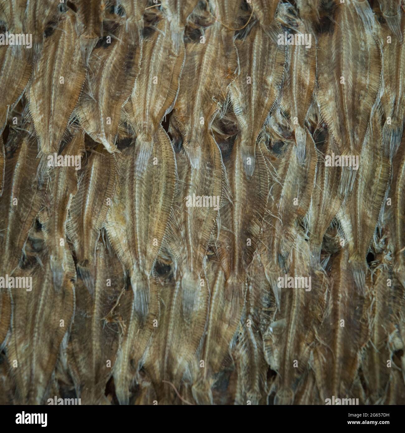 Dried fish for sale in Cebu Market Philippines Stock Photo - Alamy