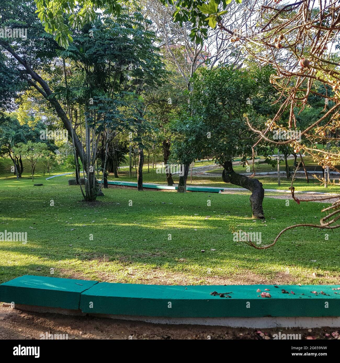Coco natural park in the city of Fortaleza Ceara northern Brazil Stock ...