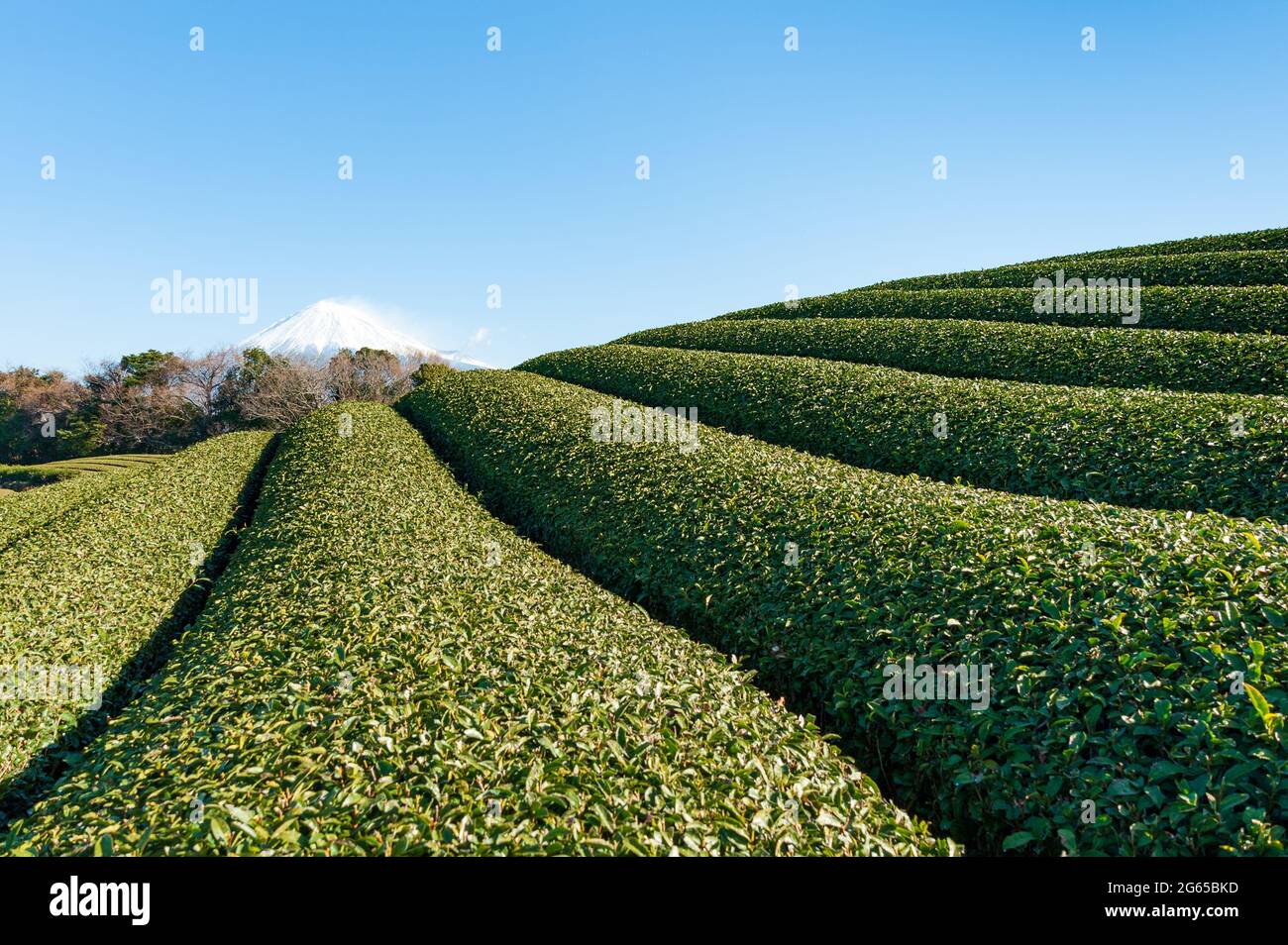 Climbing up mount fuji hi-res stock photography and images - Alamy