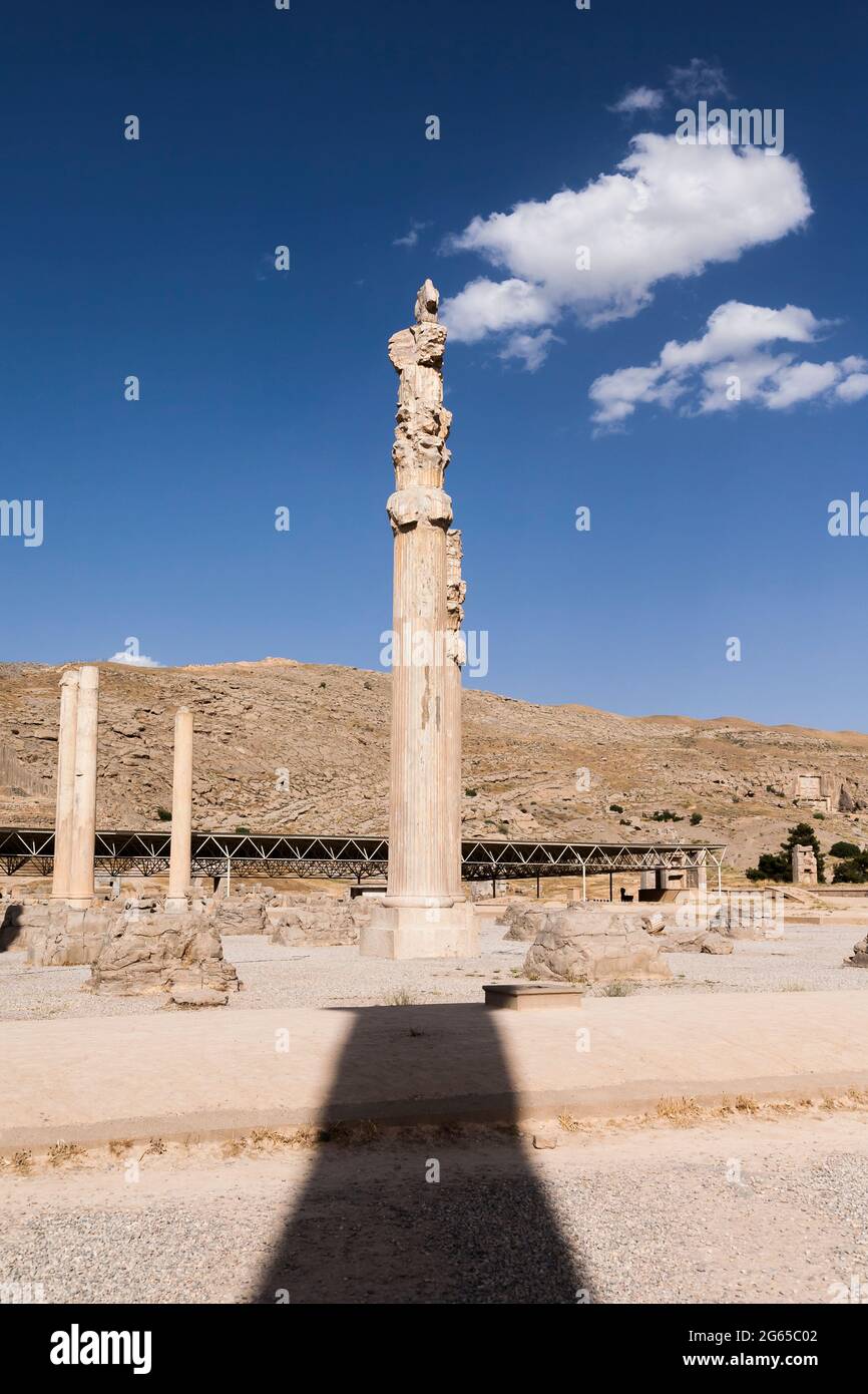 Persepolis, massive stone pillars of Apadana ruins, capital of ...