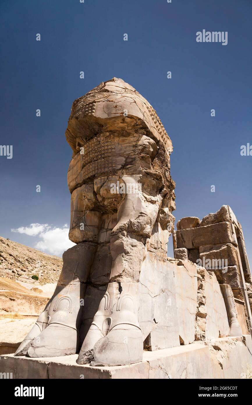 Persepolis, remain of stone carving bull, hall of hundred columns ...
