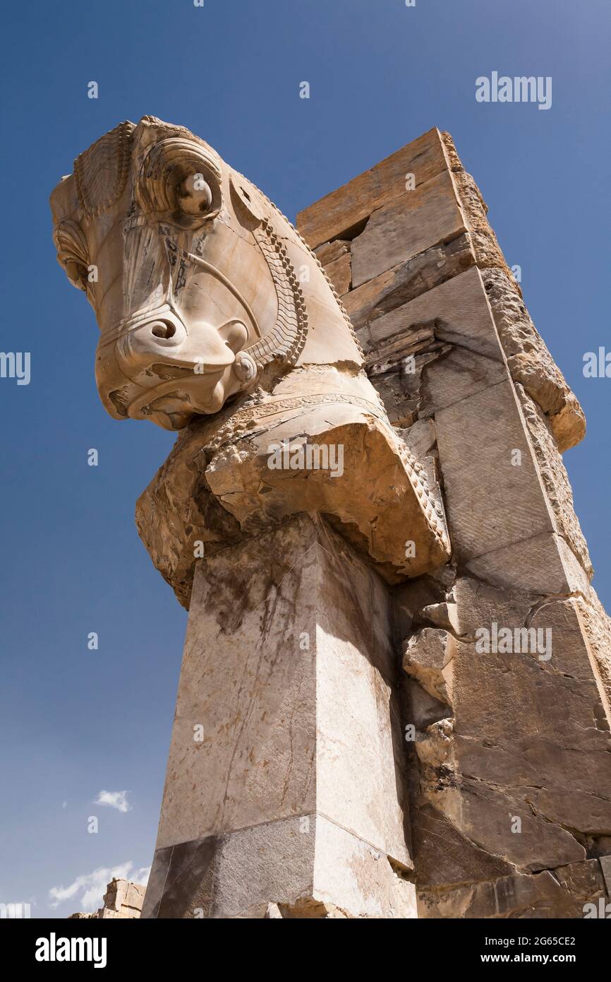 Persepolis, stone carving bull head as capital, hall of hundred columns ...