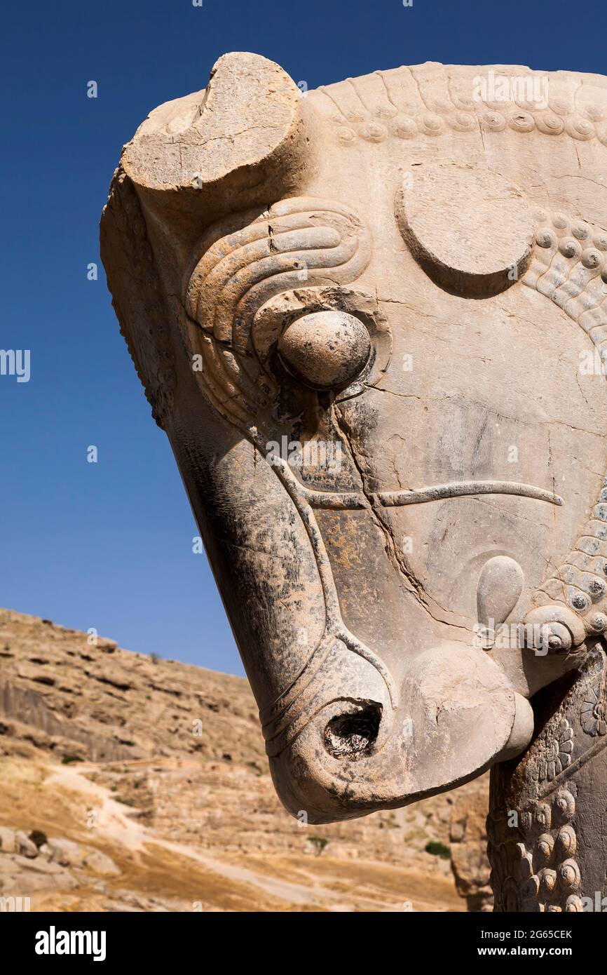 Persepolis, stone carving bull head as capital, hall of hundred columns ...