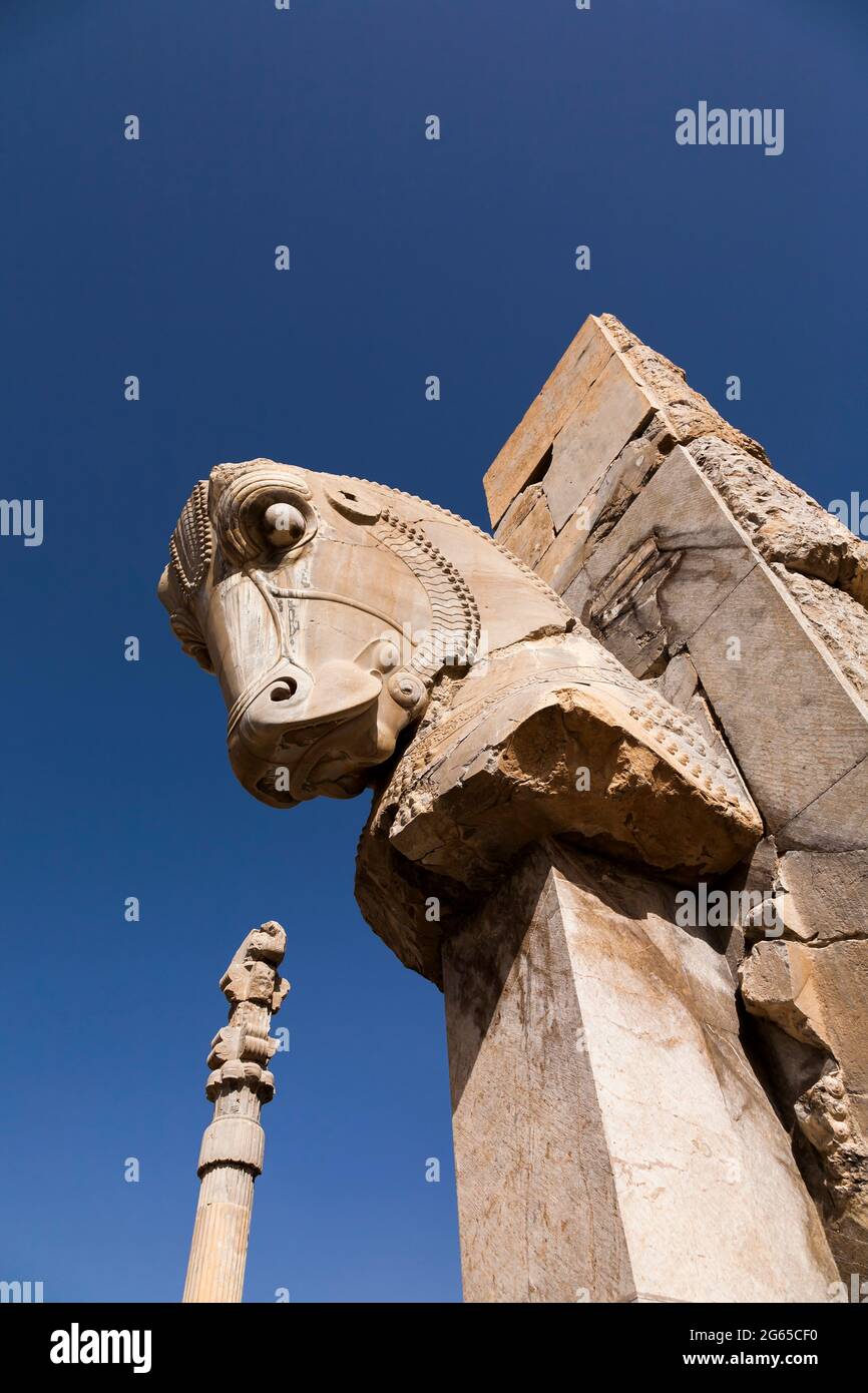 Persepolis, stone carving bull head as capital, hall of hundred columns ...