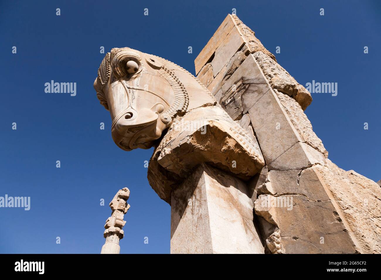 Persepolis, stone carving bull head as capital, hall of hundred columns ...