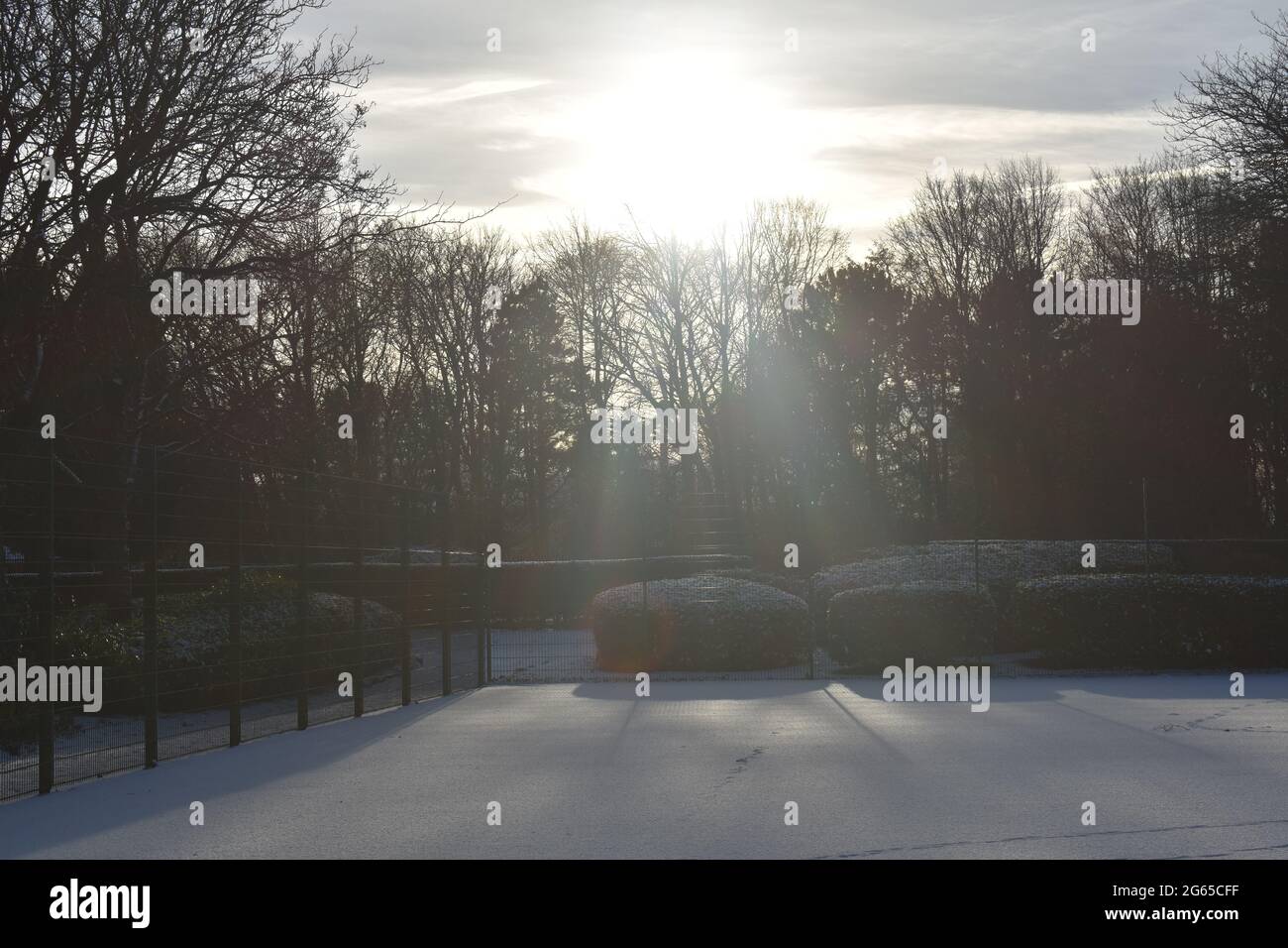 tennis court in a park covered in snow with trees in the background ...