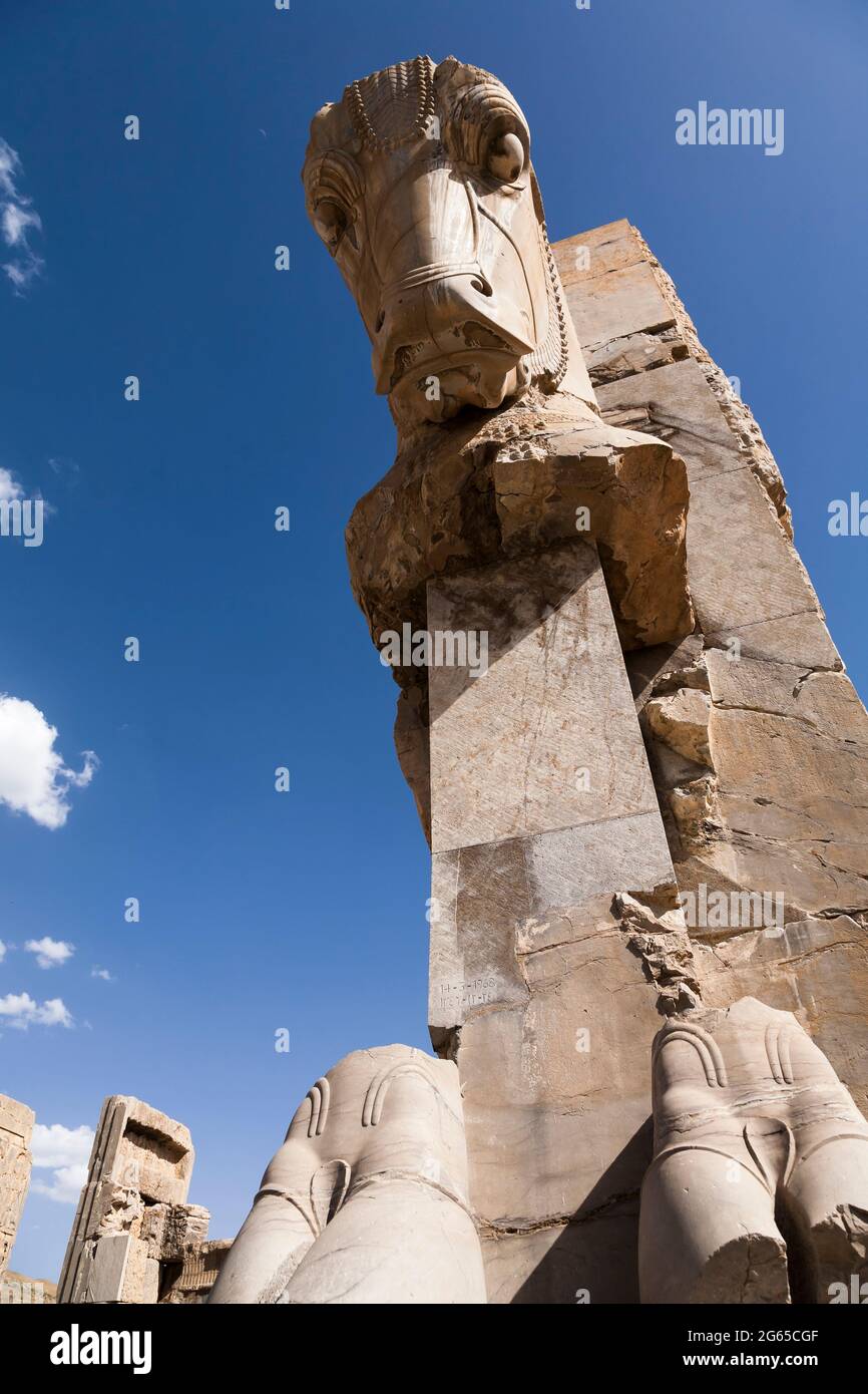 Persepolis, stone carving bull head as capital, hall of hundred columns ...