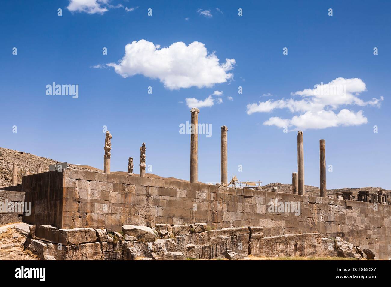 Persepolis, platform of capital complex, Apadana columns, ceremonial ...