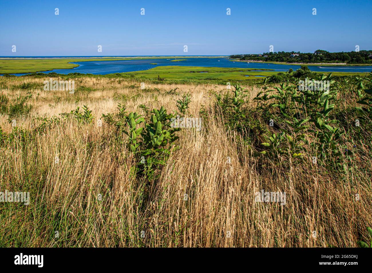 Massachusetts marsh hi-res stock photography and images - Alamy