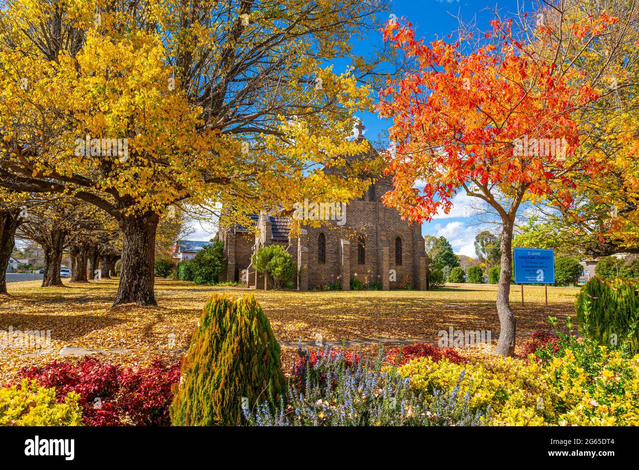 St James Anglican Church surrounded by trees with colourful autumn ...