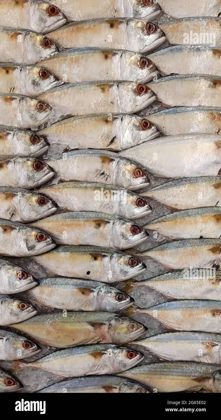 pattern of fresh mackerel fish backgrounds Stock Photo - Alamy