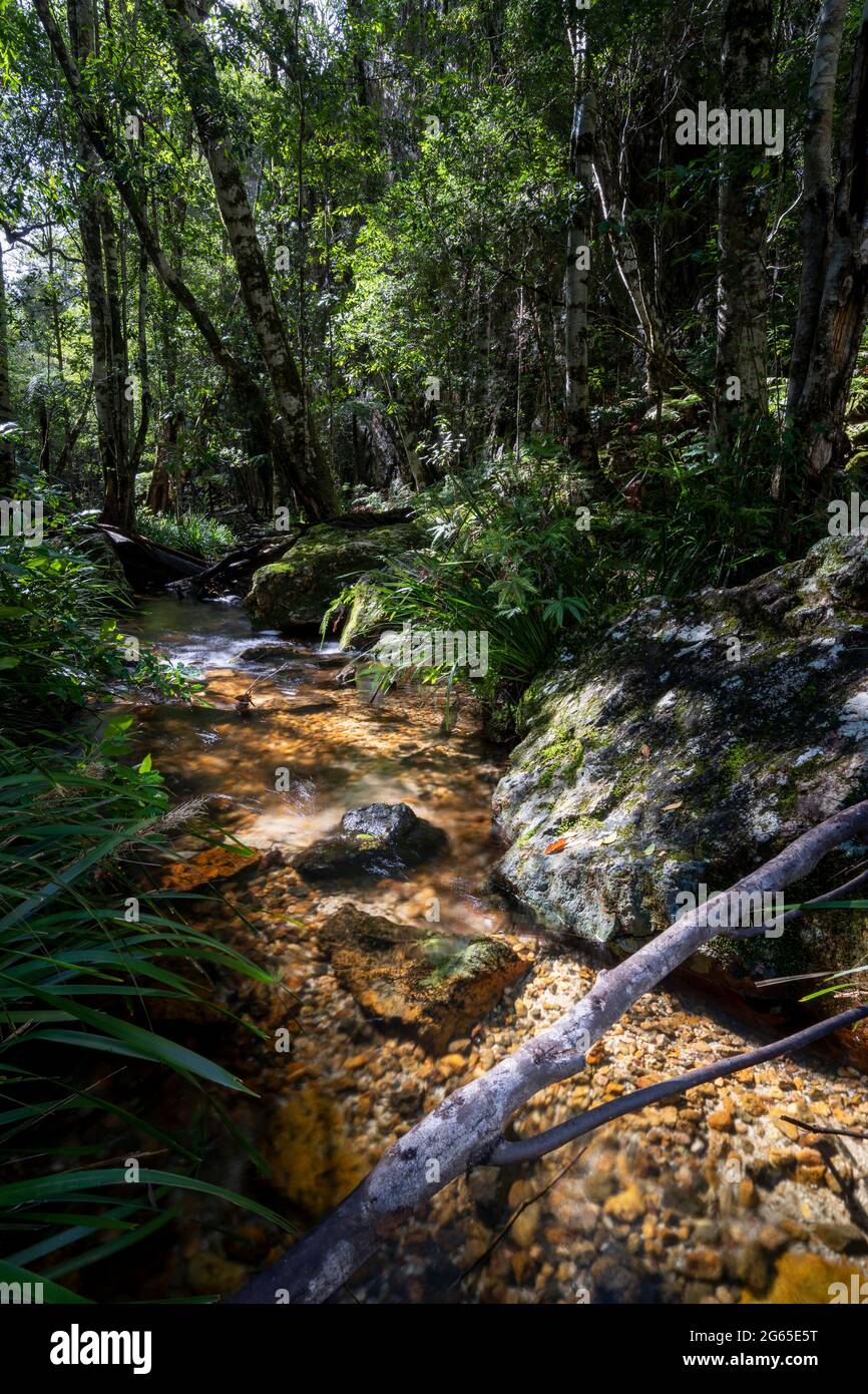 Small stream at base of Boundary Falls, Gibraltar Range National park ...