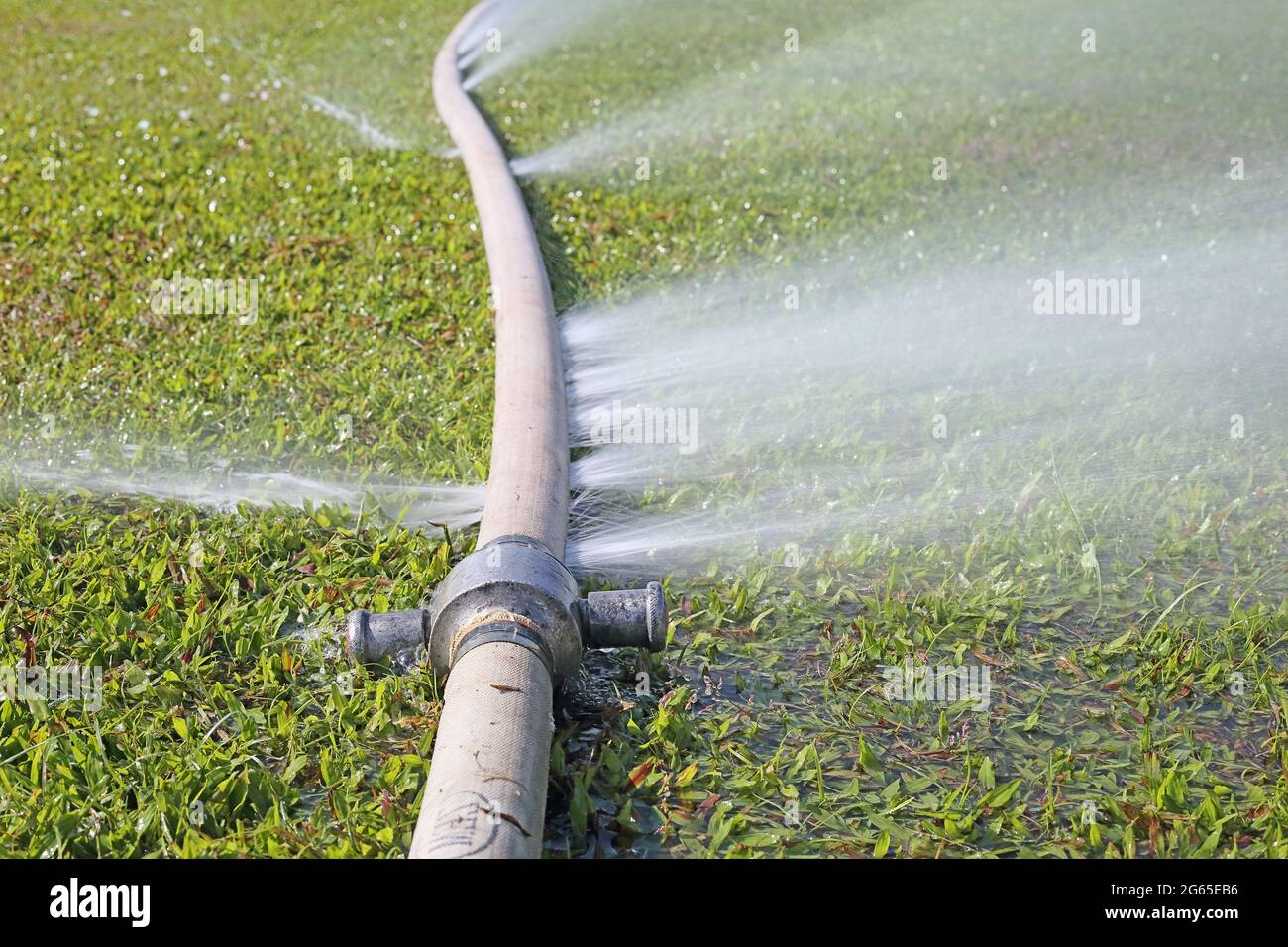 water leaking from hole in a hose Stock Photo - Alamy