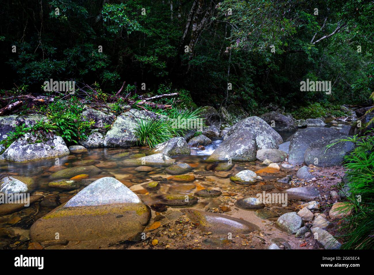 Mountain stream on Coachwood Pool walking track, Washpool National Park ...