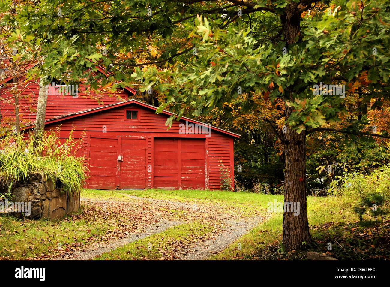 A red barn in the fall near the Westfield River in MA Stock Photo - Alamy