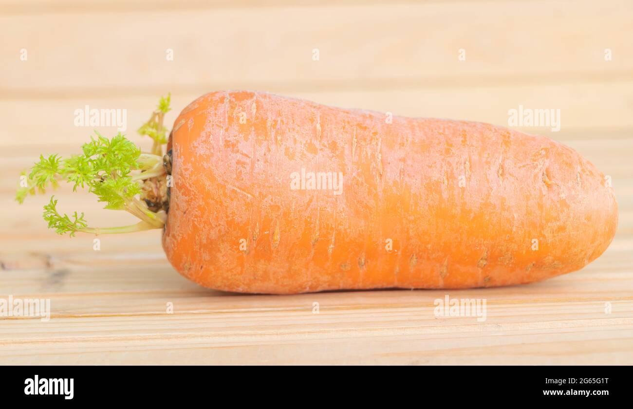 Closeup shot carrot on hi-res stock photography and images - Alamy