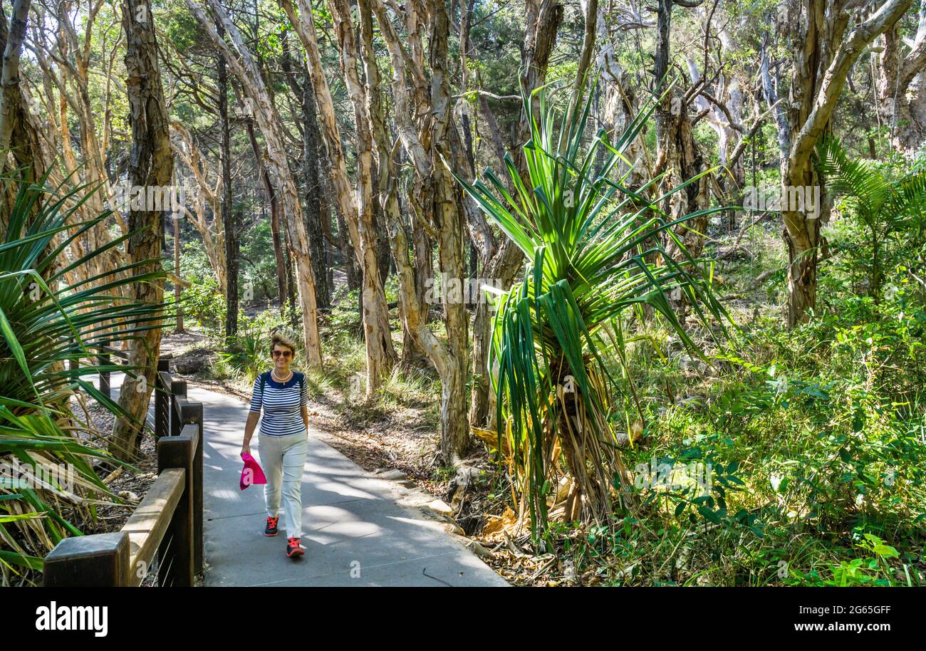 hiking the headland coastal trail in Noosa National Park through ...