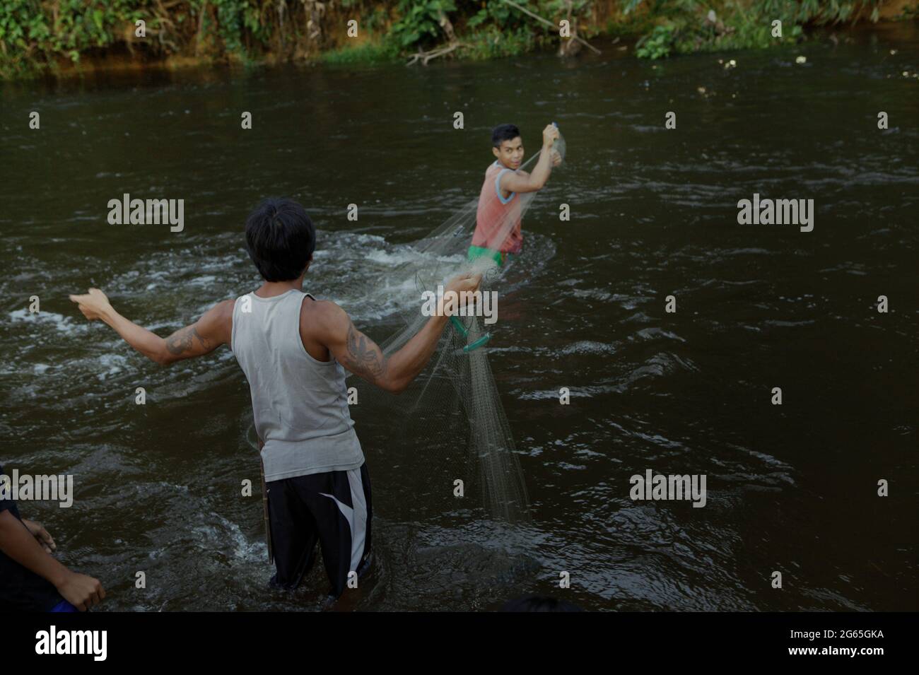 Men using a fishing net on a river near the longhouse of traditional ...