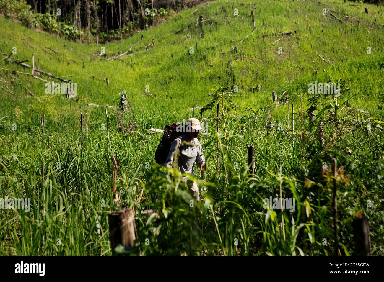 Dayak Iban Longhouse High Resolution Stock Photography and Images - Alamy