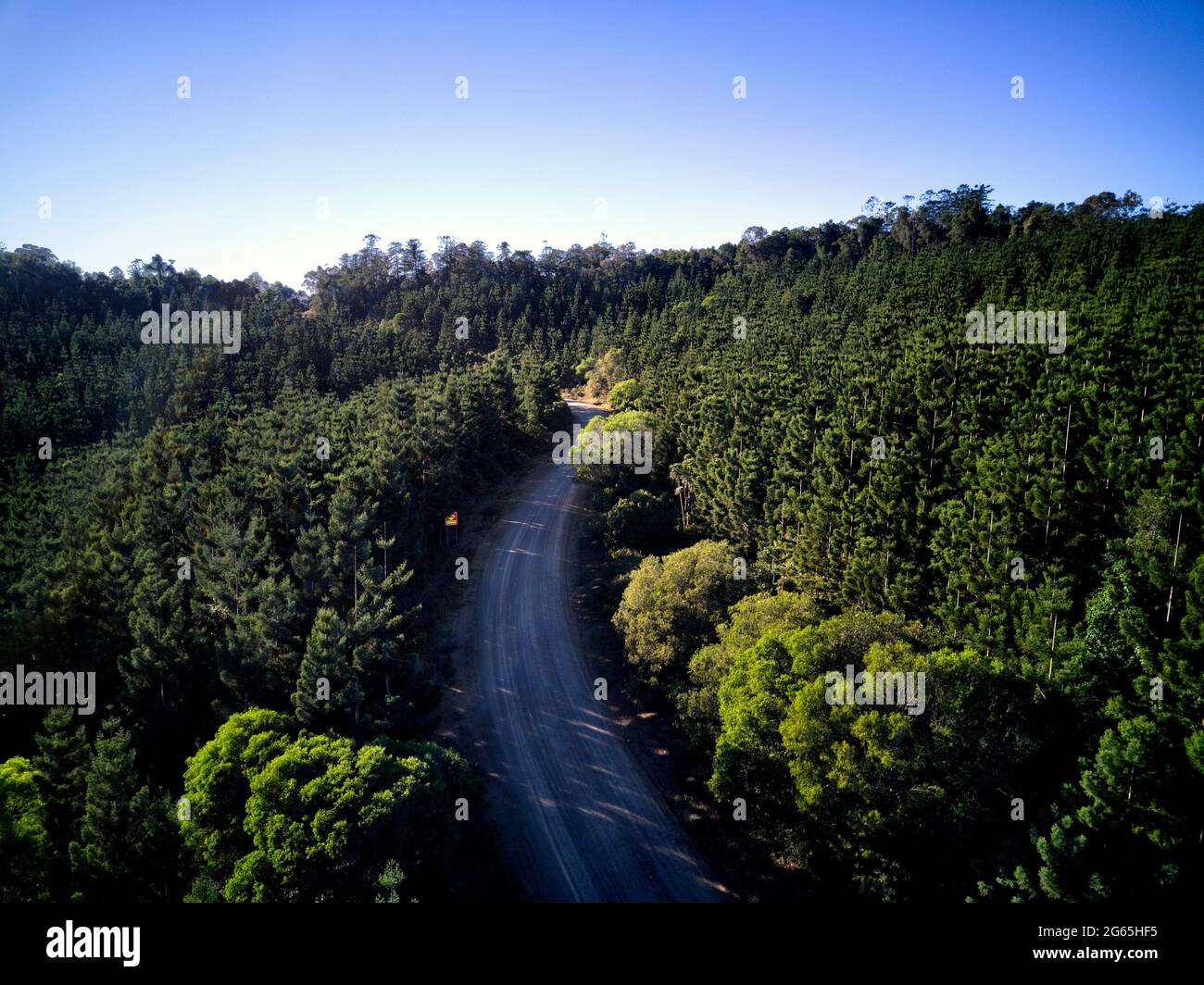 Aerial commercial forest plantation hi-res stock photography and images ...