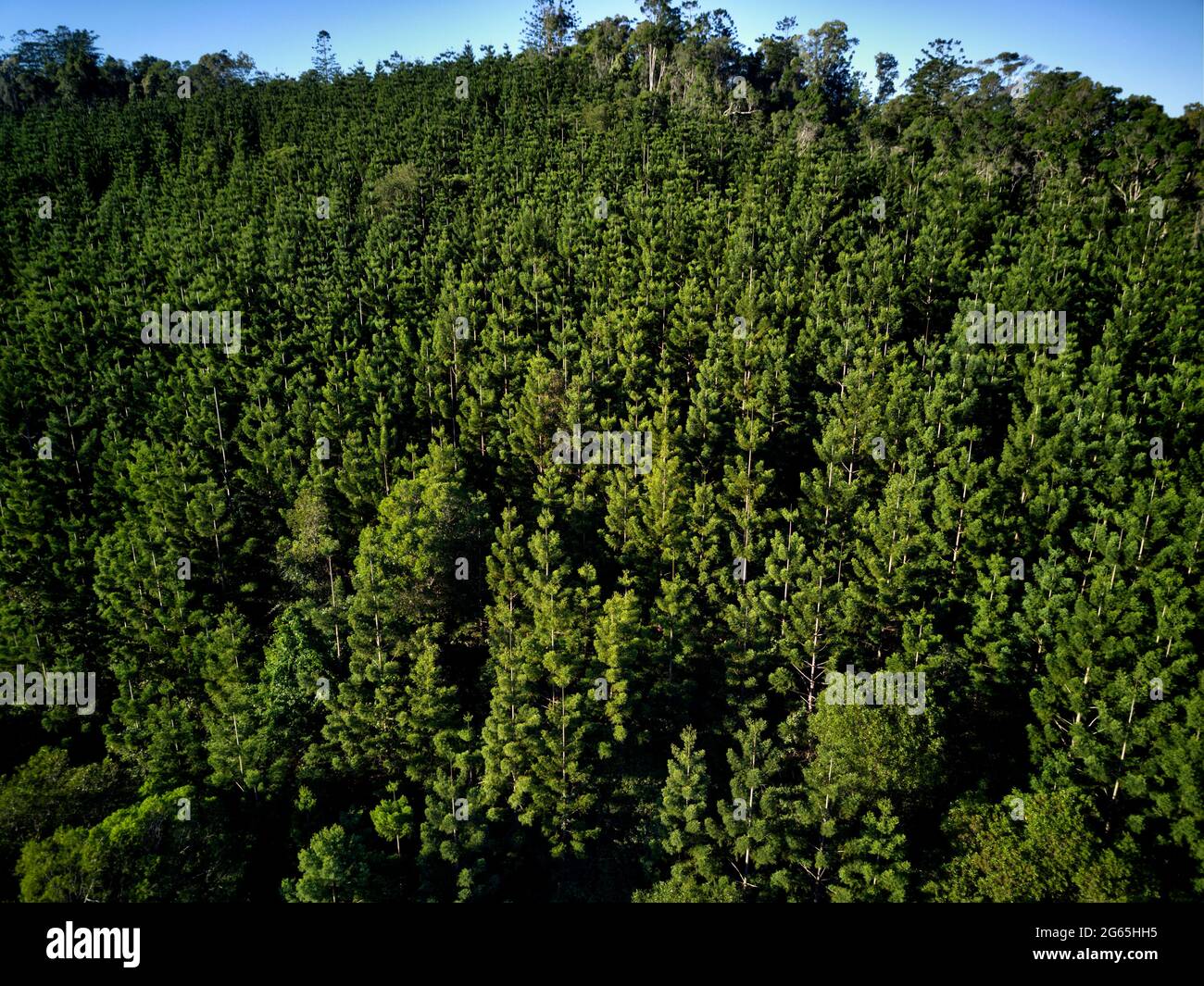 Kalpowar qld 4630 hi-res stock photography and images - Alamy