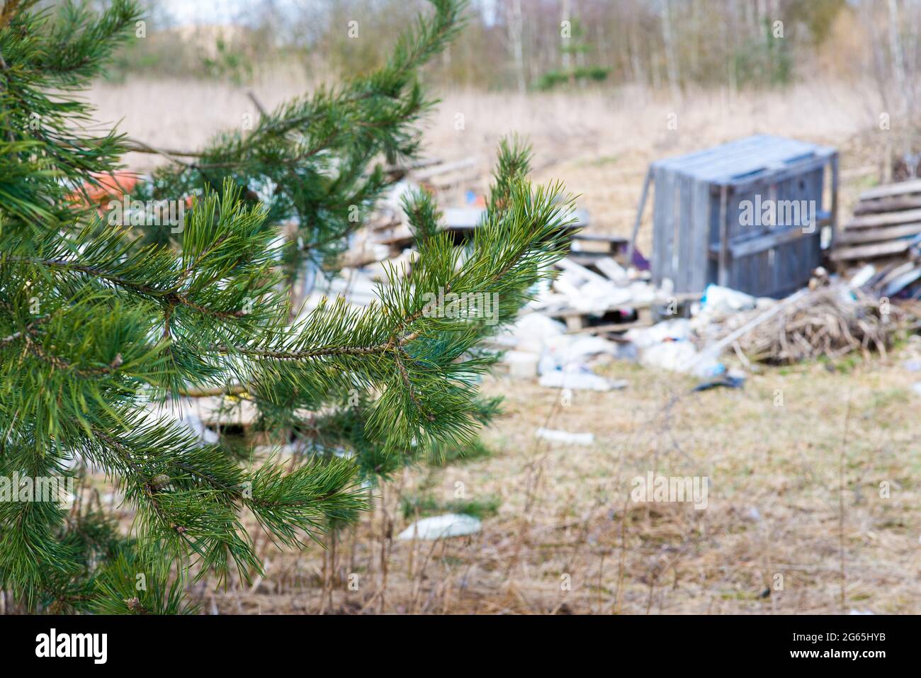 Pile of garbage dump in a forest. Nature environment problems. Polluted ...