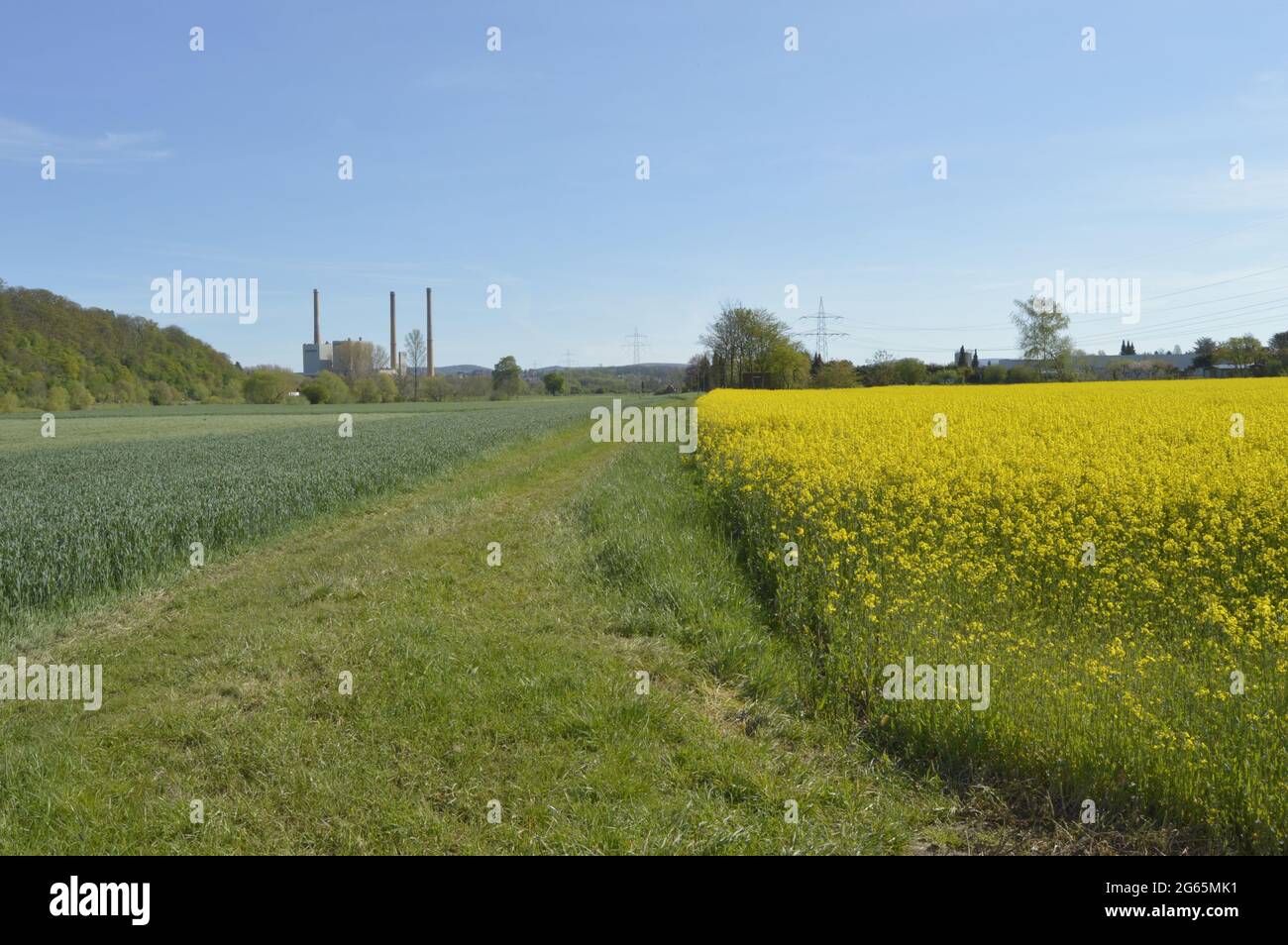 Rape Field in Kalletal, Germany Stock Photo - Alamy