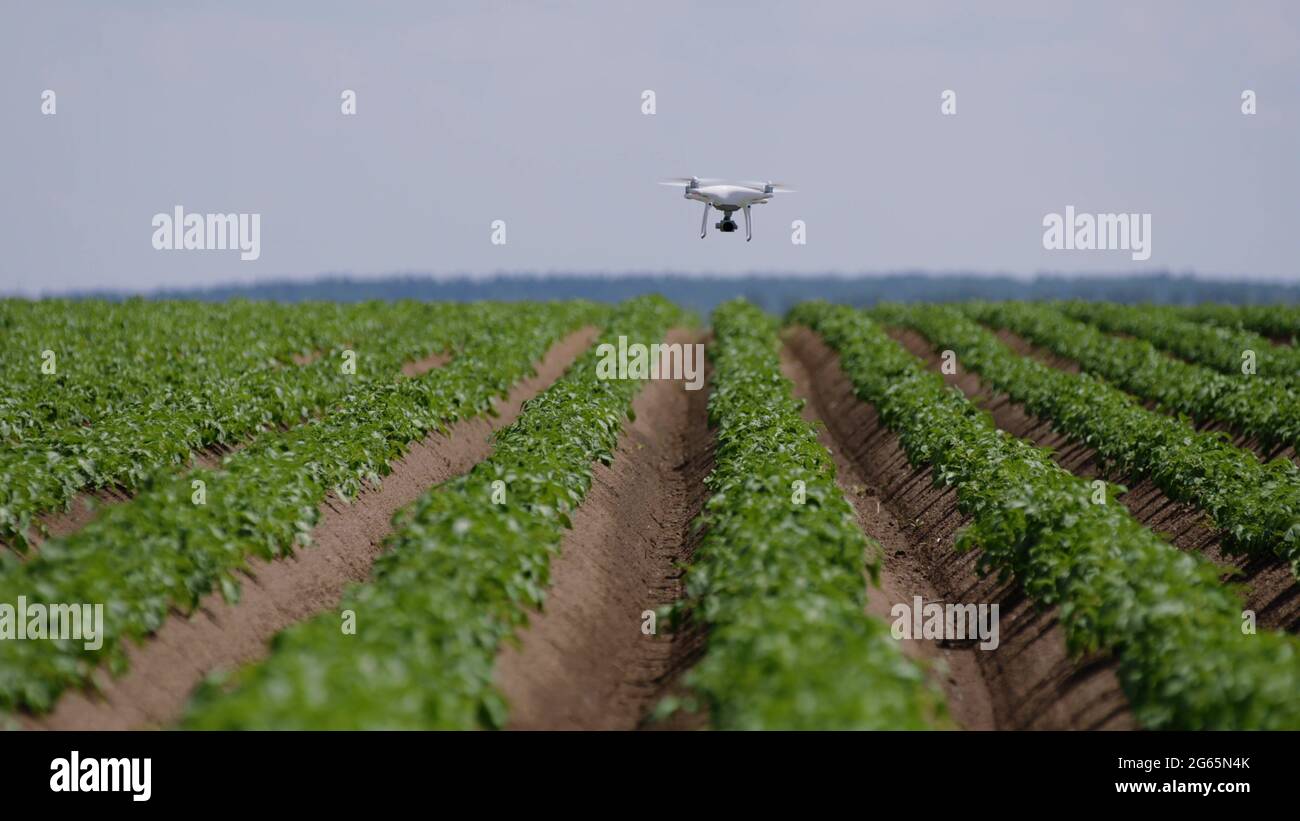 Flying Smart Agriculture Drone. Artificial Intelligence. Drone Scan ...