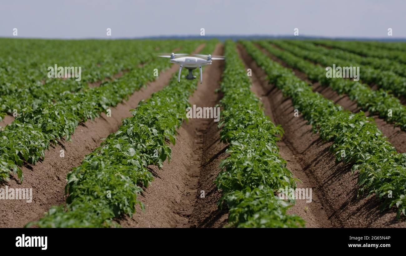 Flying Smart Agriculture Drone. Artificial Intelligence. Drone Scan ...
