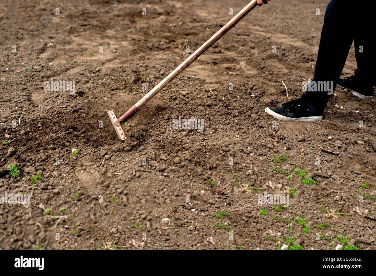 Wet rake hi-res stock photography and images - Alamy