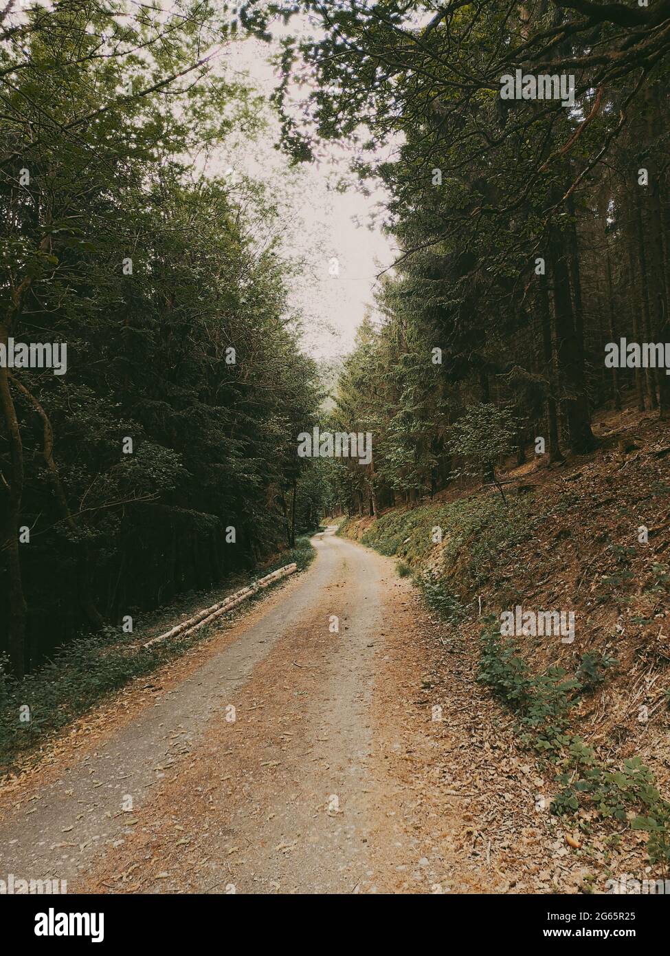 Hochsauerlandkreis Germany Landscape with Green Hills, Grass and ...