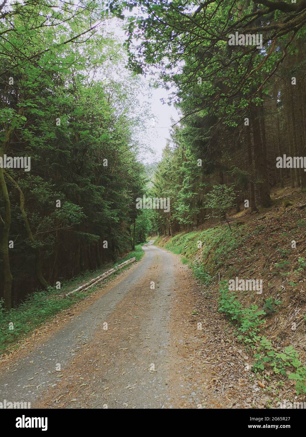 Sauerlandkreis hi-res stock photography and images - Alamy