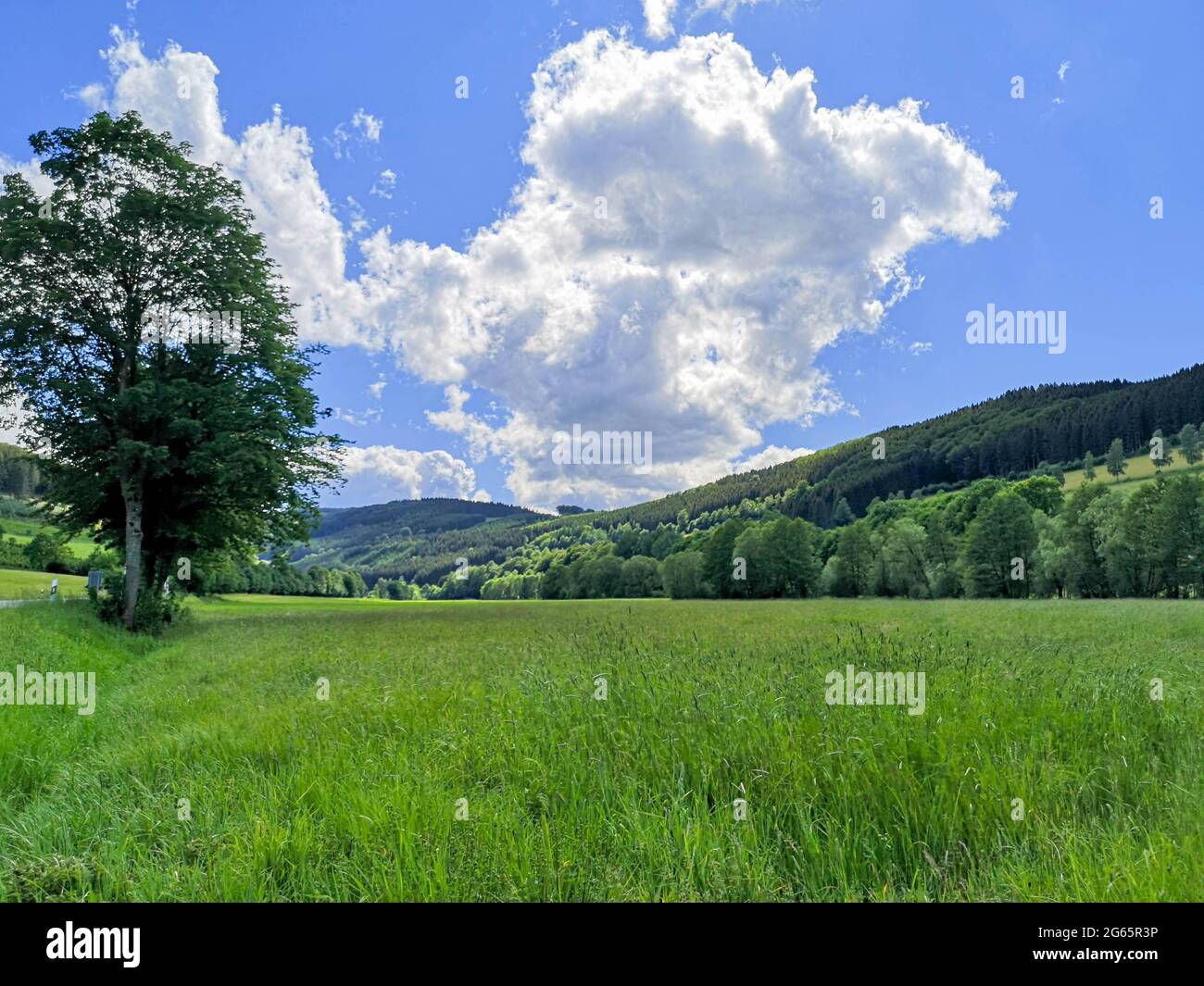 Hochsauerlandkreis Germany Landscape with Green Hills, Grass and ...