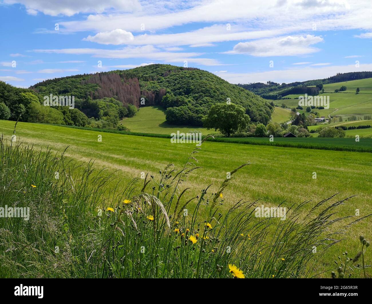 Hochsauerlandkreis Germany Landscape with Green Hills, Grass and ...
