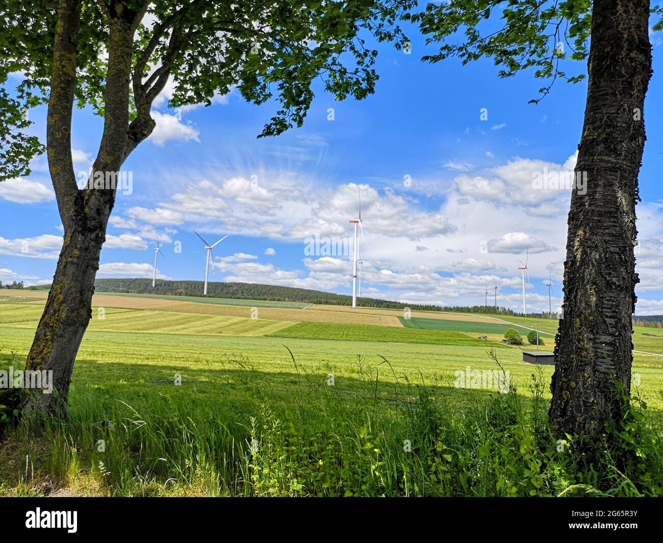 Hochsauerlandkreis Germany Landscape with Green Hills, Grass and ...